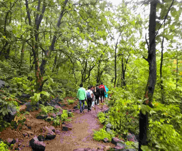 Photo Gallery (Call:- 08422882291) | Sahyogmantra Tours